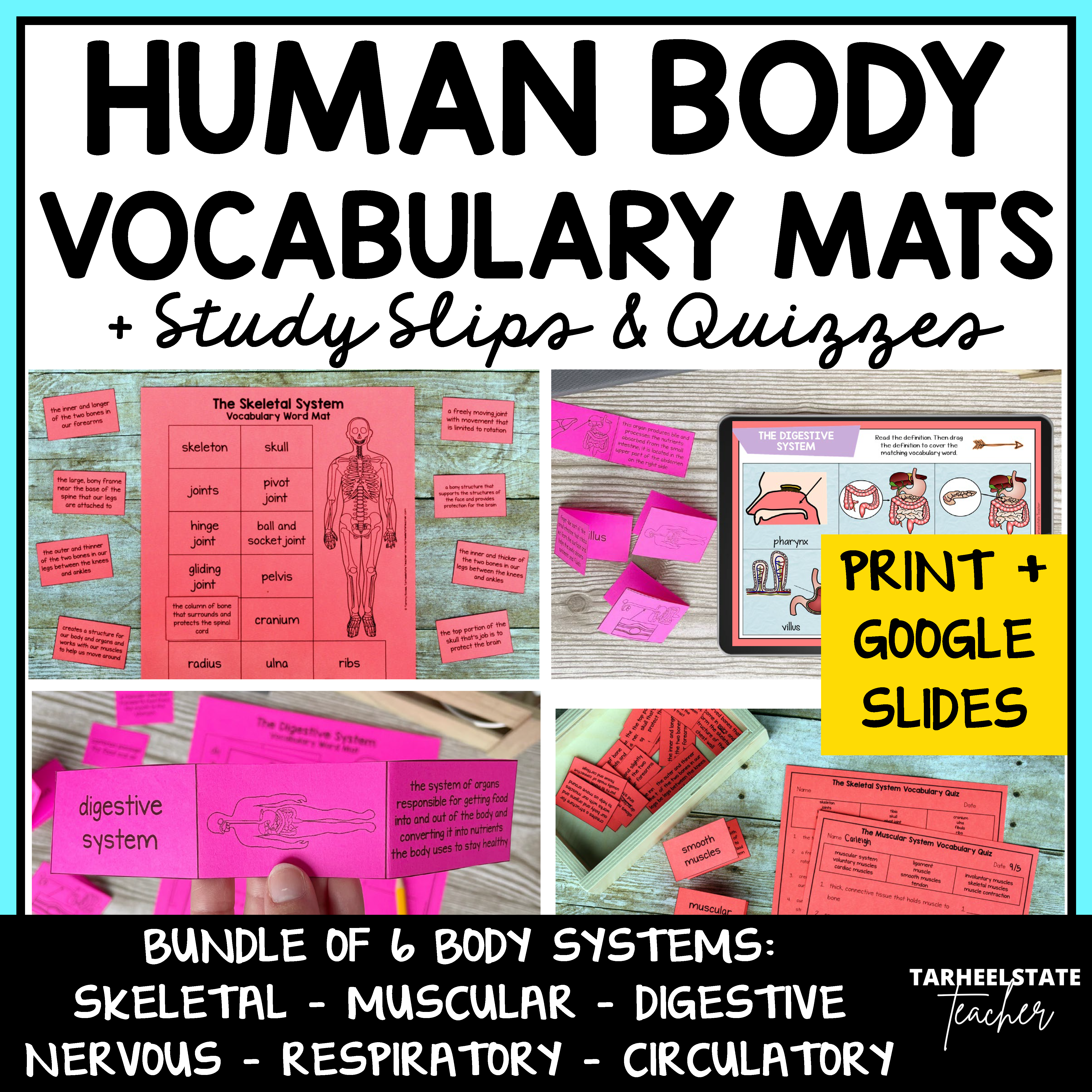 Human Body Systems Vocabulary Activities Mats, Study Slips, & Quizzes ...