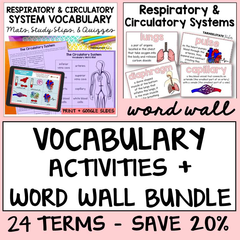 Respiratory and Circulatory System Vocabulary Mats, Study Slips ...